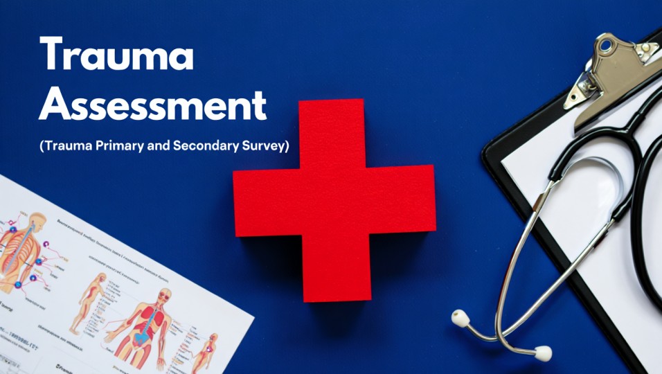 Trauma Assessment (Trauma Primary and Secondary Survey)