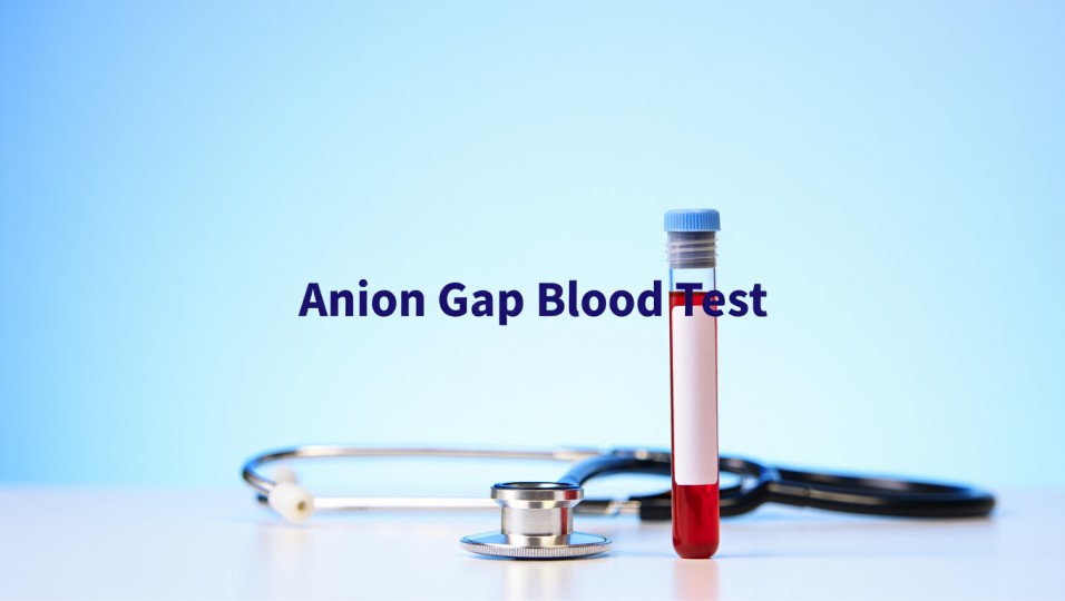 Anion Gap Blood Test Template