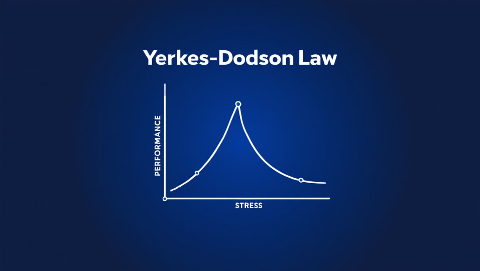 Yerkes-Dodson Law