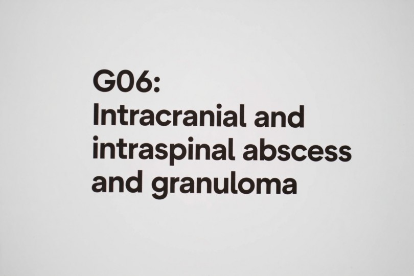 G06: Intracranial and intraspinal abscess and granuloma