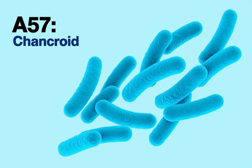 A57: Chancroid