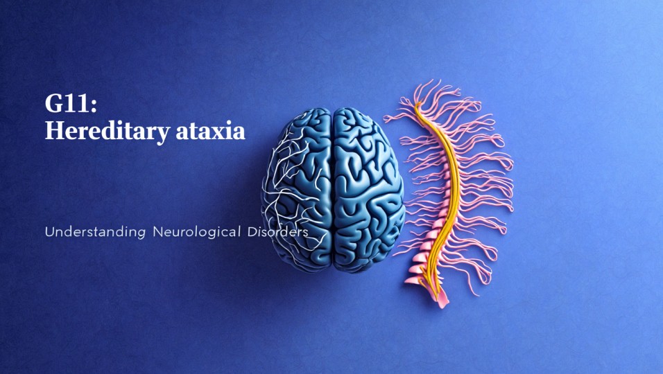 G11: Hereditary ataxia